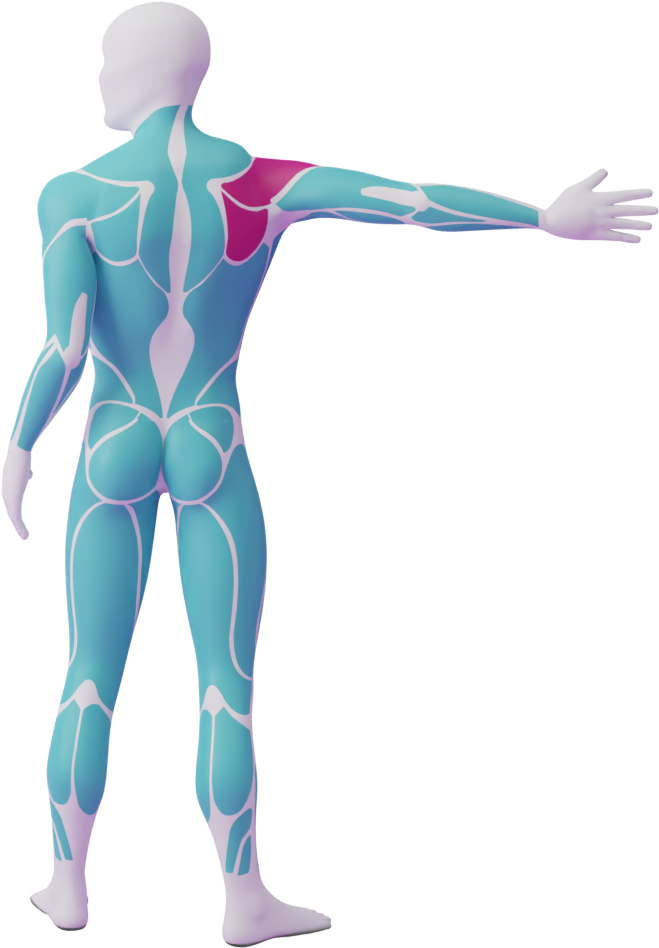 Upper Body Prep: Chest Stretches