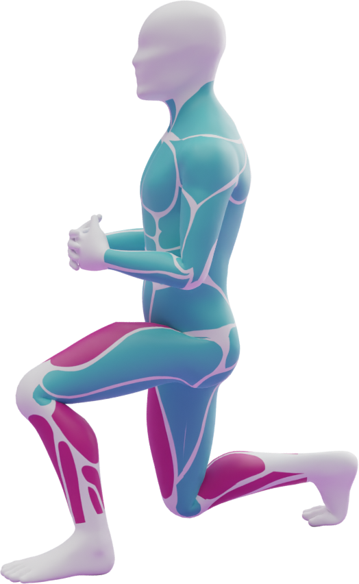 The Optimal Muscle Soreness Recovery