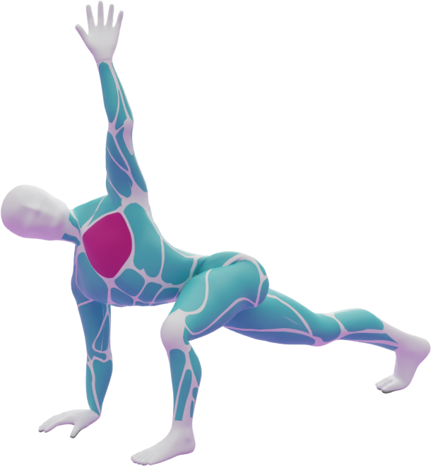 Upper Body Prep: Chest Stretches