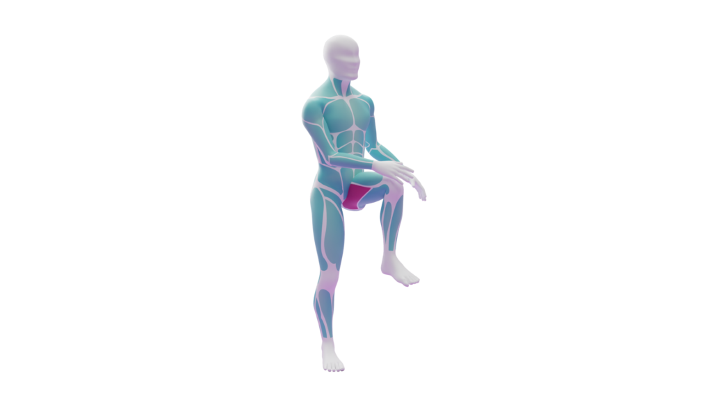 Lower Body Prep: Hip Mobility Exercises