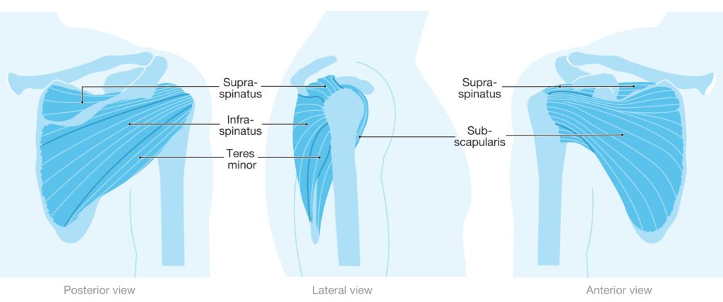 Upper Body Prep: Shoulder Mobility Exercises